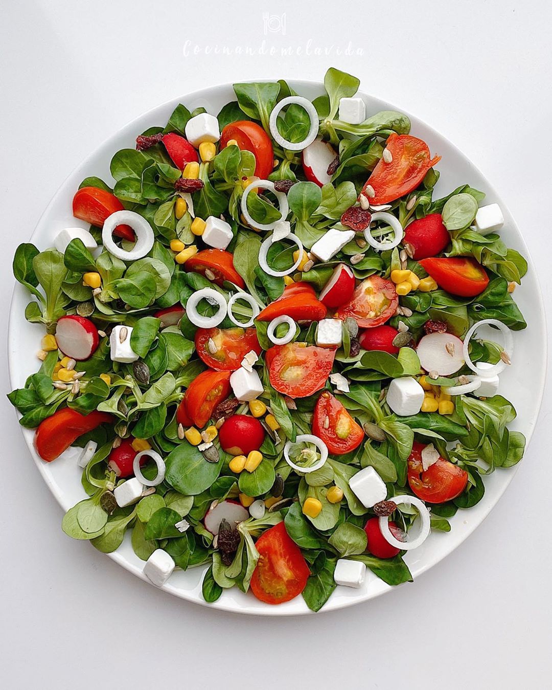 Ensalada De Cannigos
